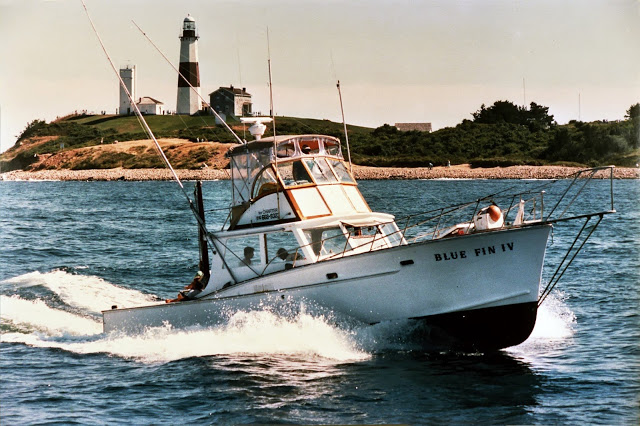 Blue Fin IV - The Tipperary Inn